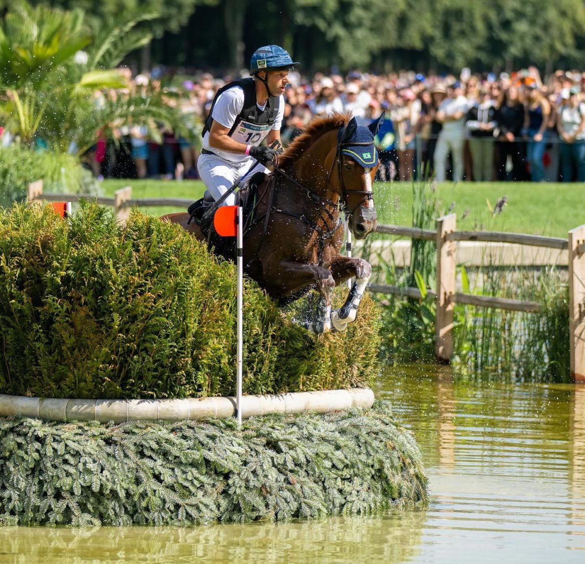 Stallions at Stud in the UK